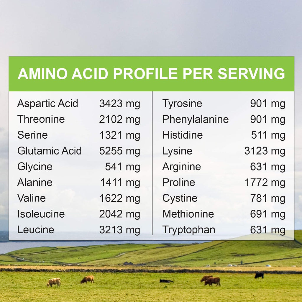 versatile whey protein for smoothies