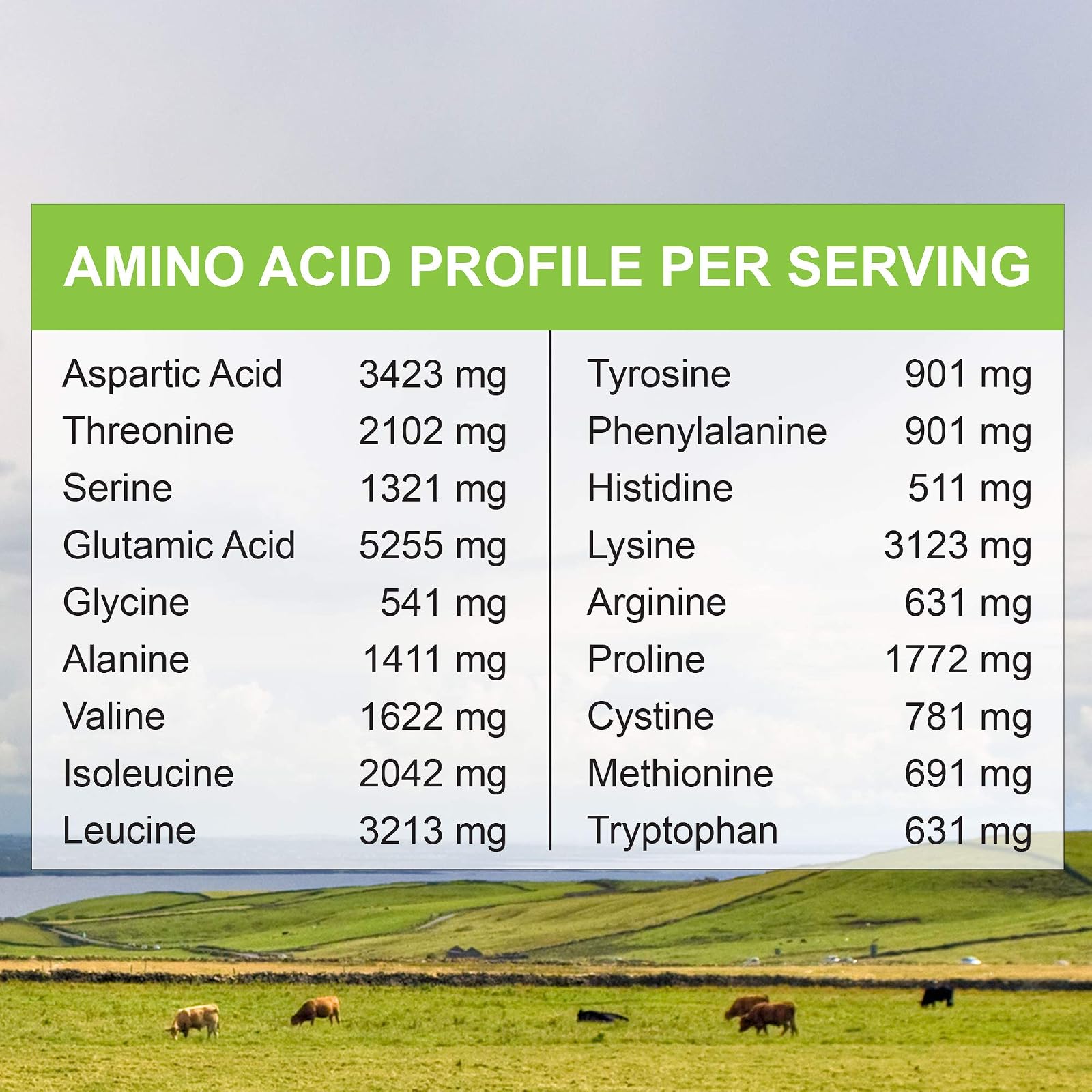 versatile whey protein for smoothies