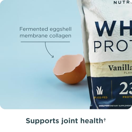versatile whey protein for smoothies