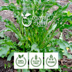 versatile yellow dock root for herbal infusions