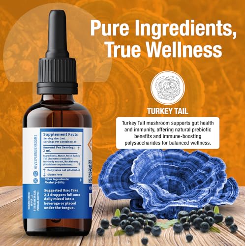 Vesper Turkey Tail mushrooms for energy boost
