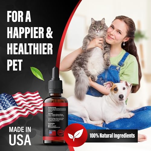 vet-recommended vitamin b12 for wellness