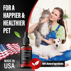 vet-recommended vitamin b12 for wellness