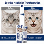 veterinarian-recommended cat supplement