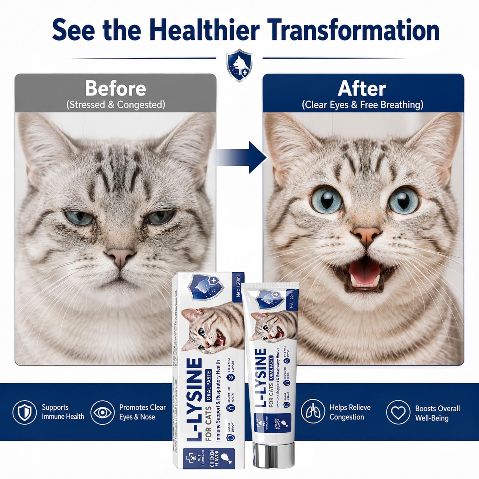 veterinarian-recommended cat supplement