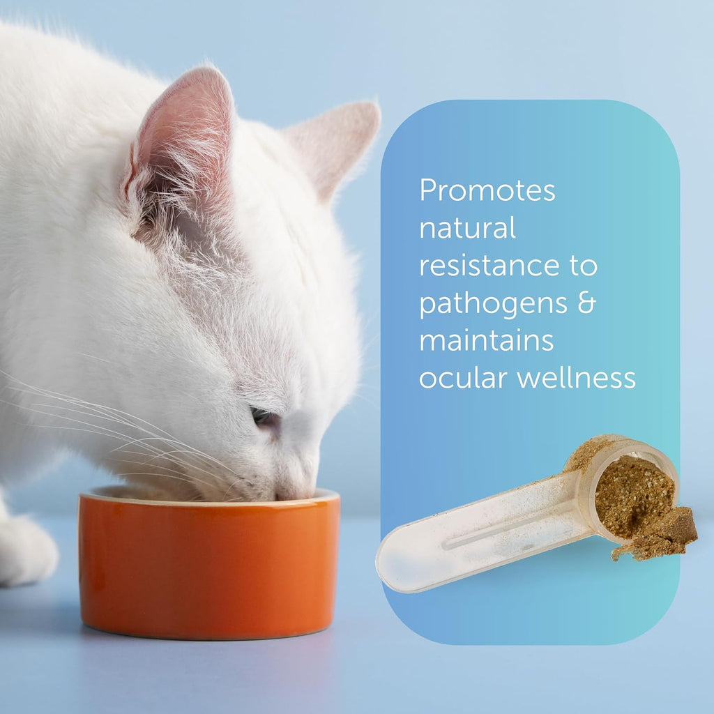 Veterinarian recommended immune support powder