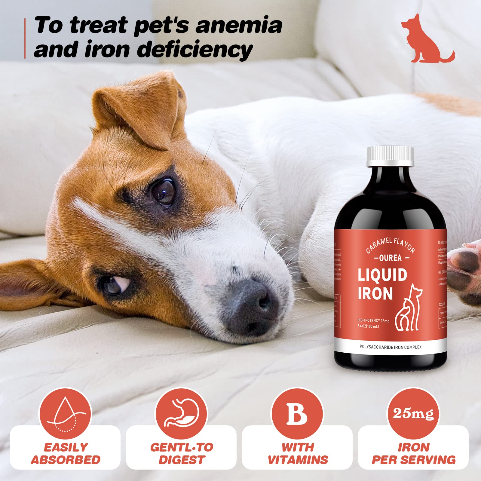 veterinarian recommended iron formula