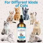 veterinarian-recommended l-lysine for cats