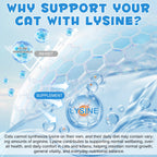 veterinarian recommended L-lysine formula