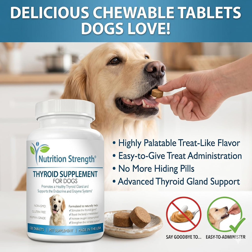 veterinarian-recommended thyroid supplement