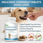 veterinarian-recommended thyroid supplement