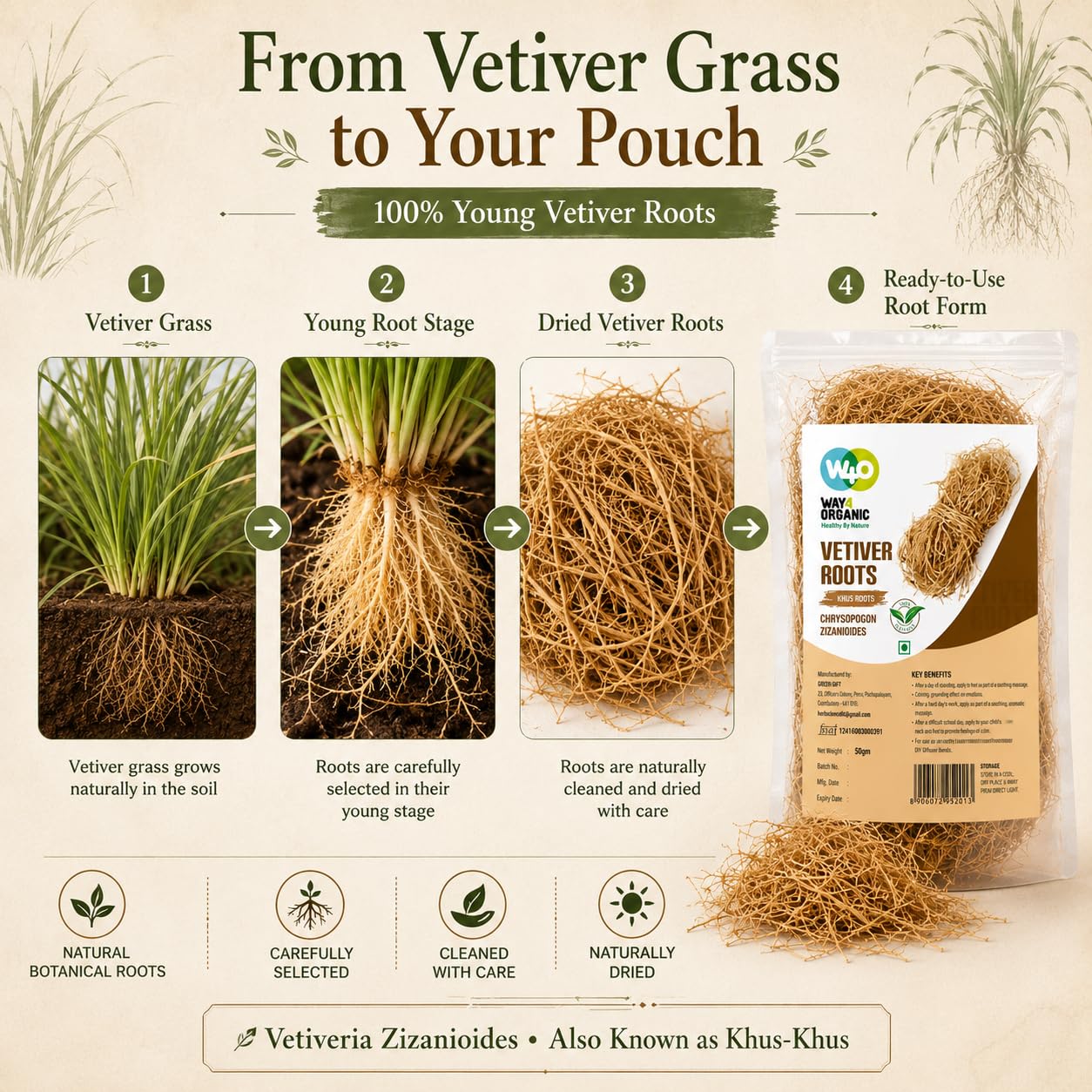 vetiver root for herbal detox
