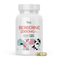 VHC Berberine supplement for immune support