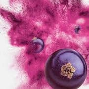 ViBERi blackcurrant powder for smoothies