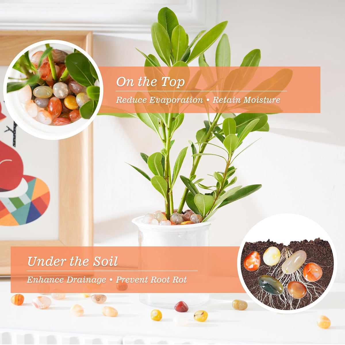 vibrant agate stones for home decor