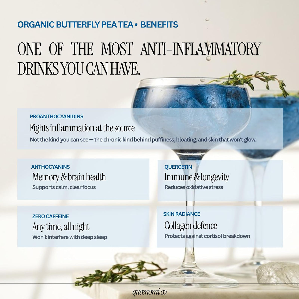 vibrant blue butterfly pea powder