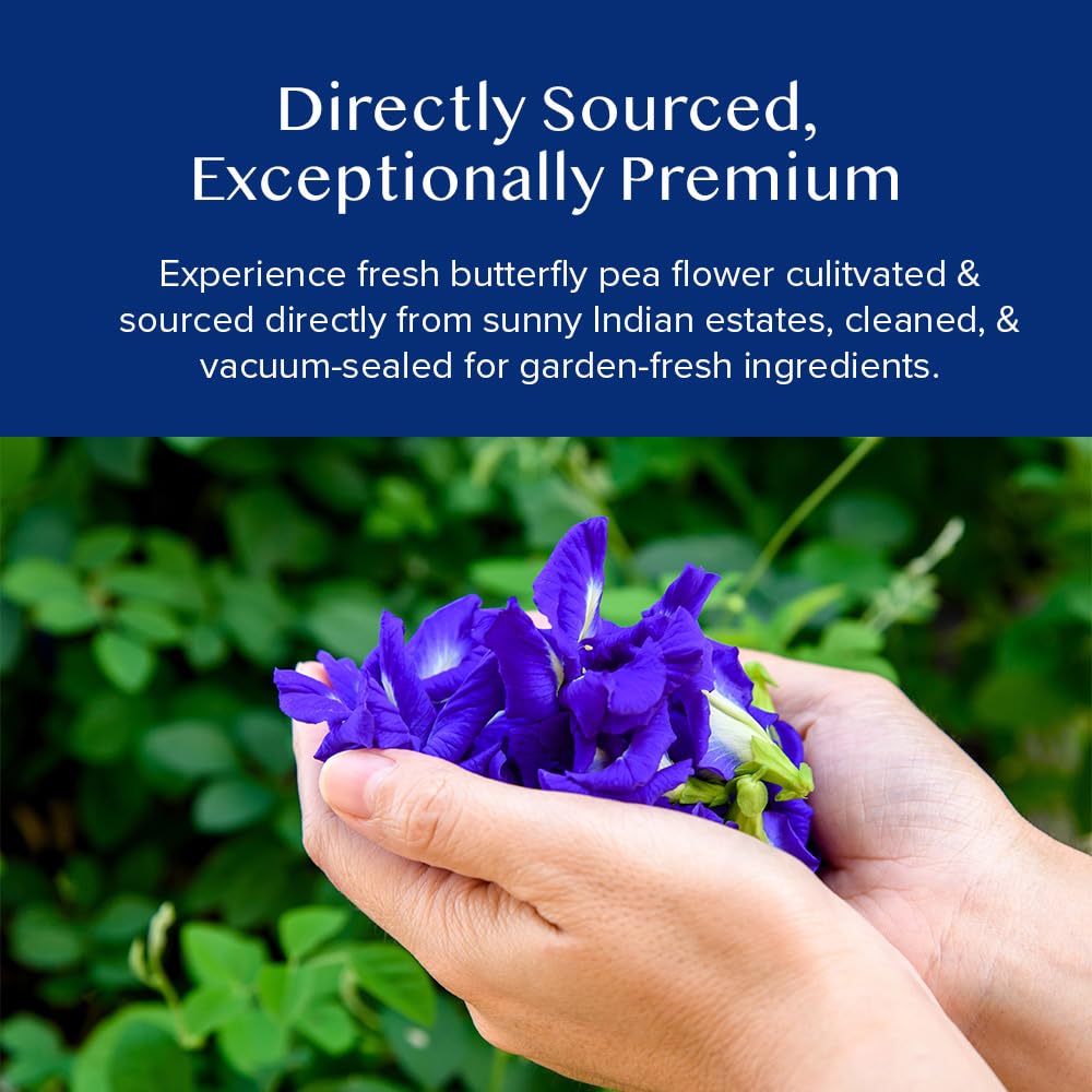 vibrant blue butterfly pea tea