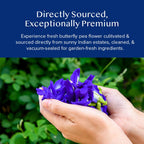 vibrant blue butterfly pea tea