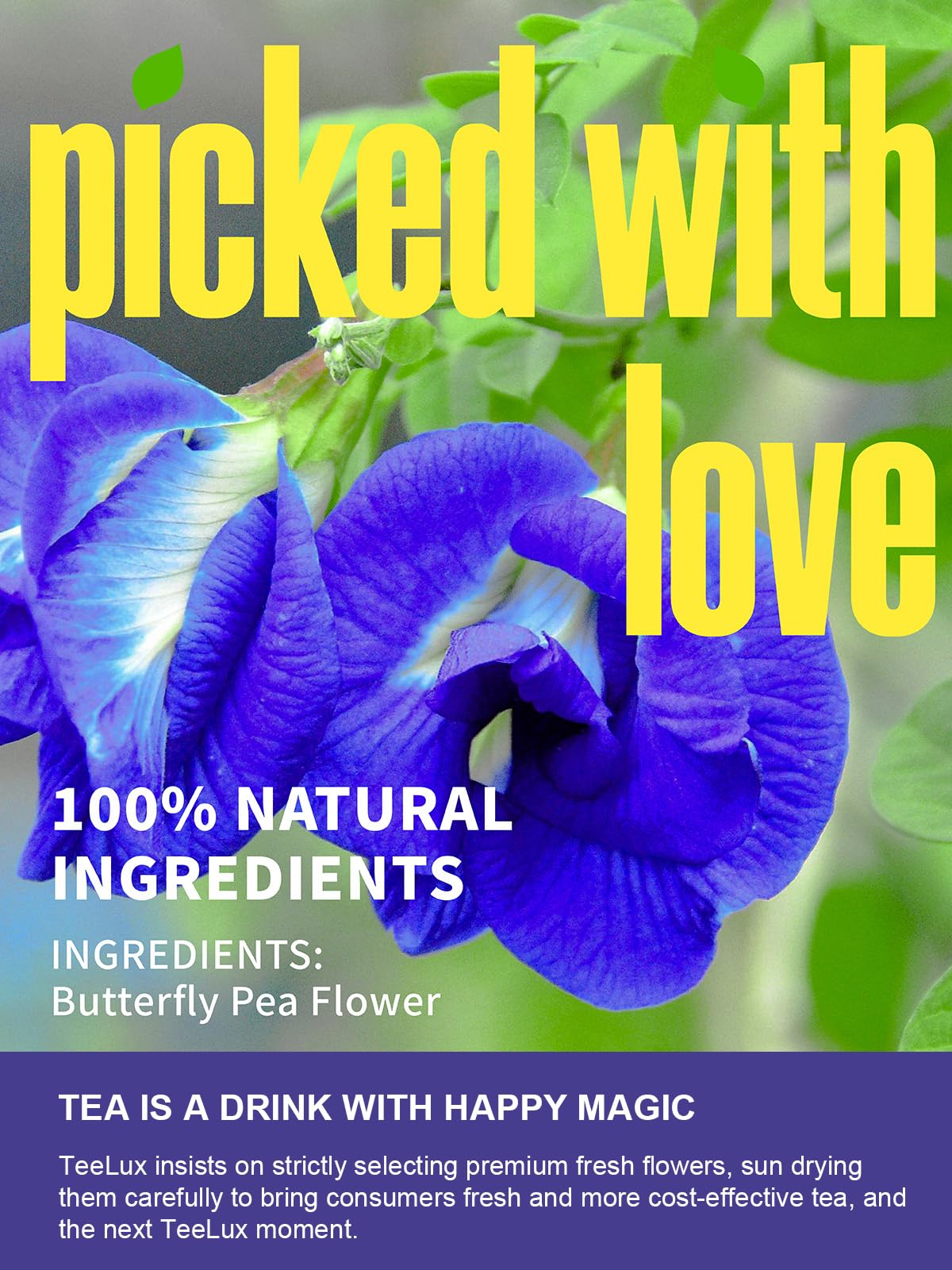 vibrant blue butterfly pea tea