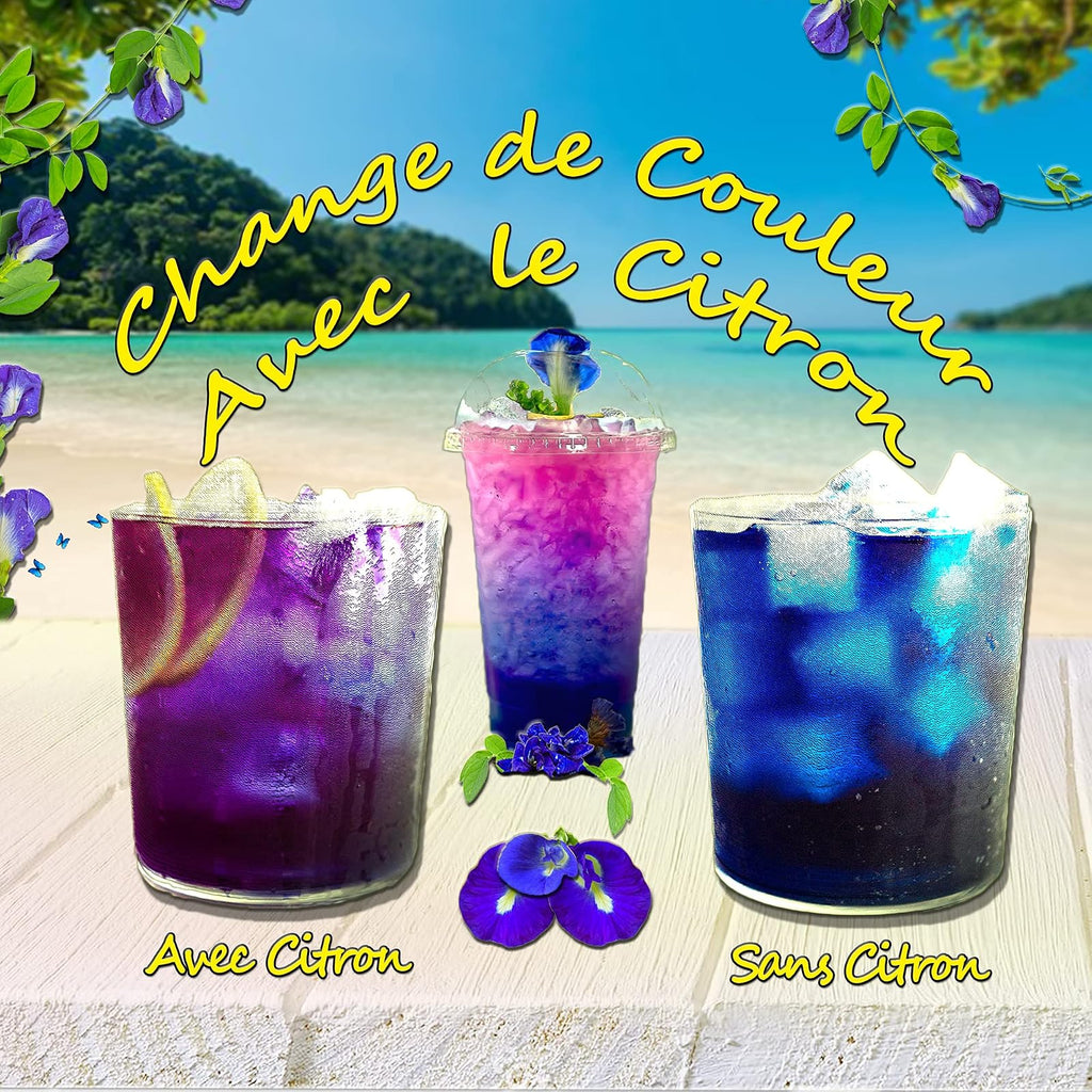 vibrant blue butterfly pea tea