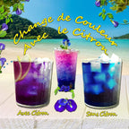 vibrant blue butterfly pea tea