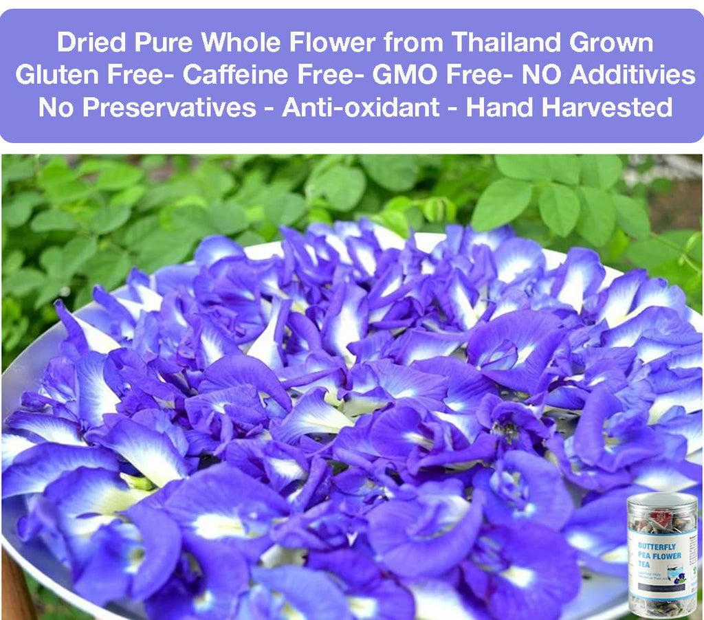 vibrant blue butterfly tea infusion
