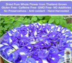 vibrant blue butterfly tea infusion