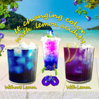 vibrant blue herbal tea flowers