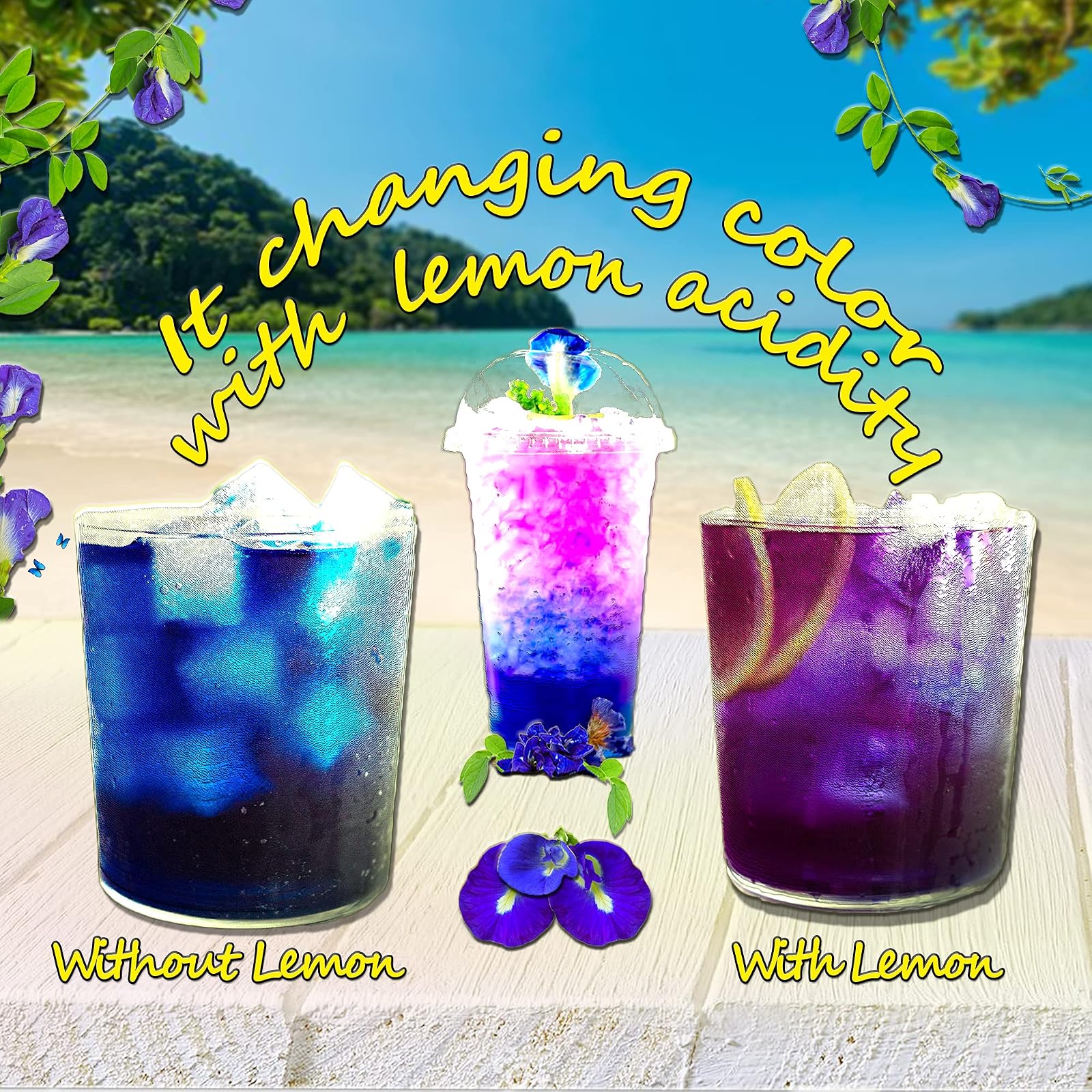 vibrant blue herbal tea flowers