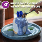 vibrant butterfly pea flower infusion
