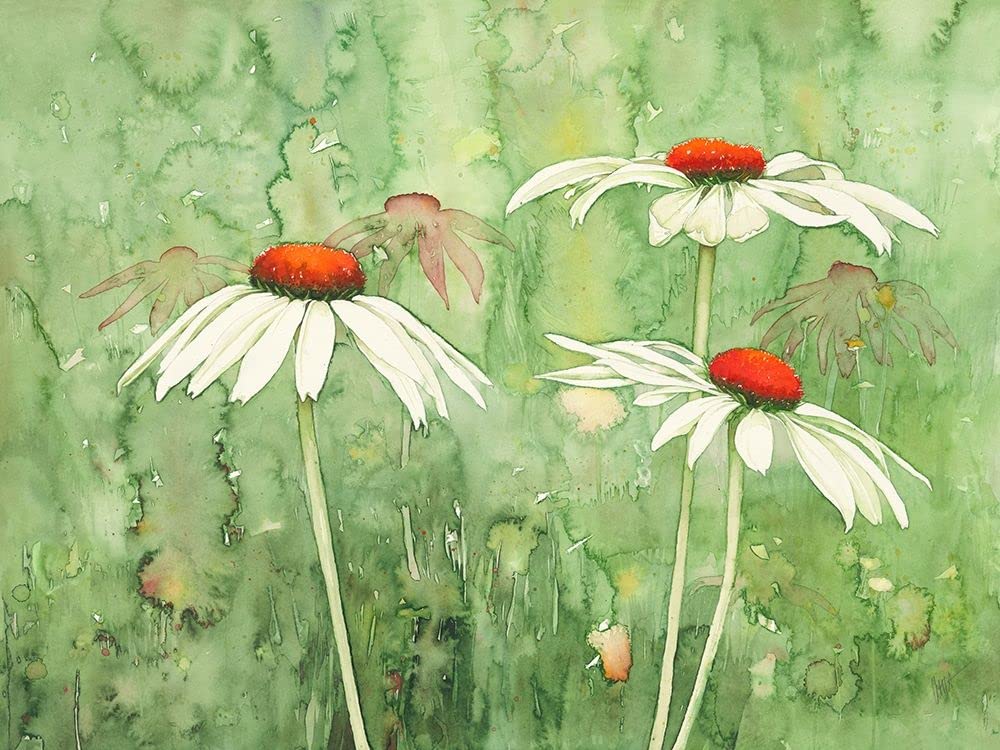 vibrant echinacea artwork for decor