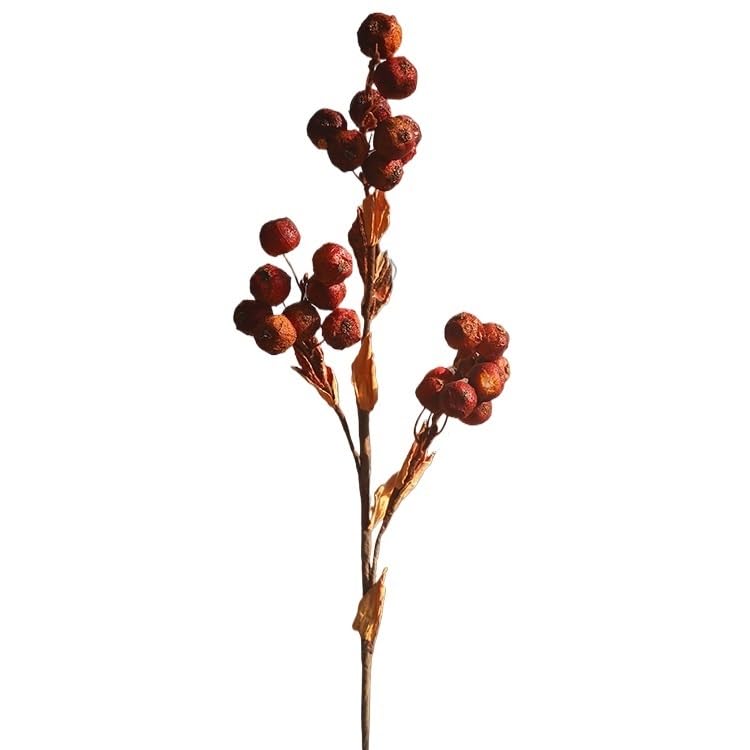 vibrant hawthorn fruit branches decor