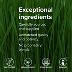 Vibrant Health Green Vibrance benefits
