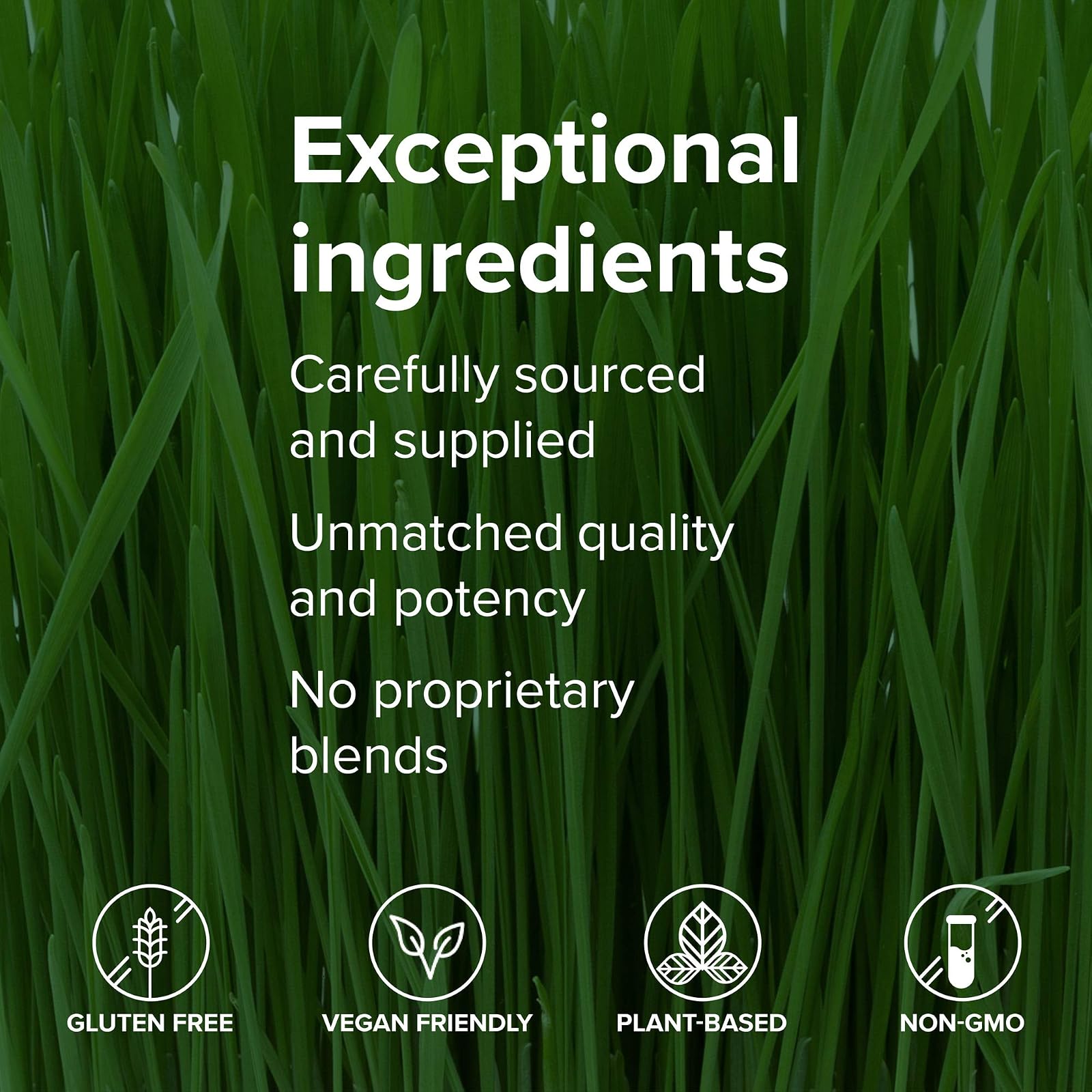 Vibrant Health Green Vibrance benefits