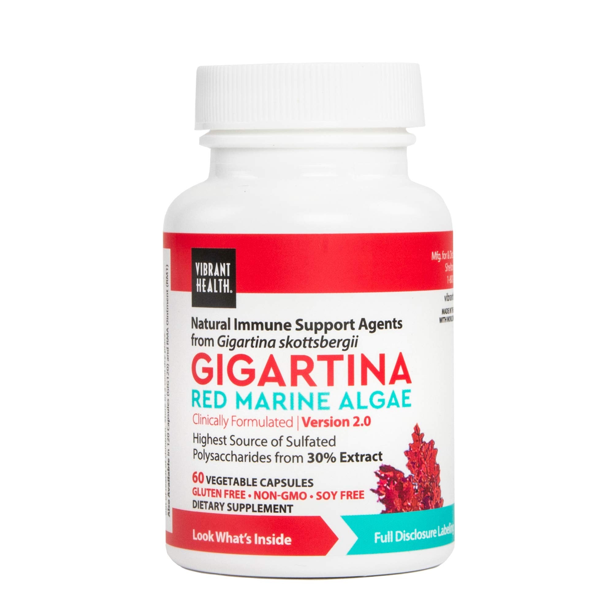 Vibrant Health herbal immune support