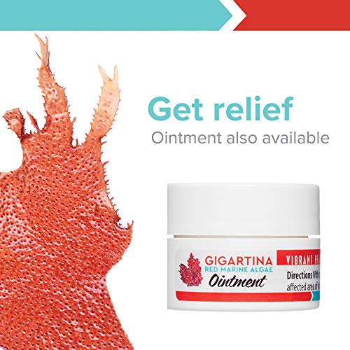 Vibrant Health herbal support for vitality