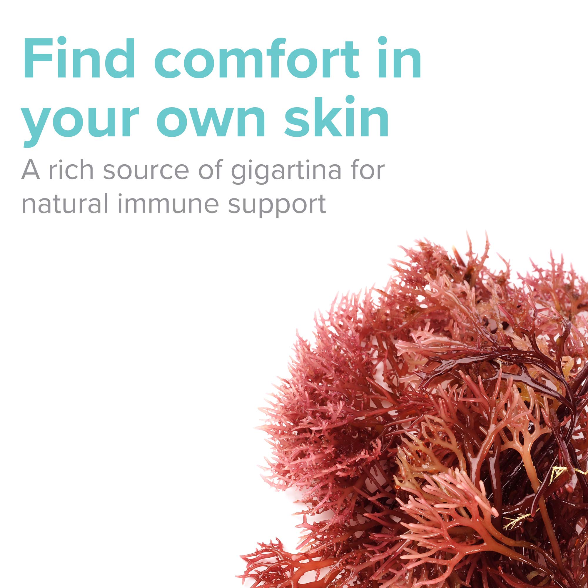Vibrant Health immune boosting formula