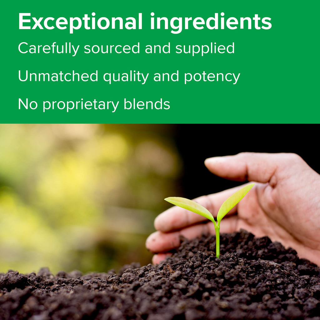 Vibrant Health plant-based nutrition