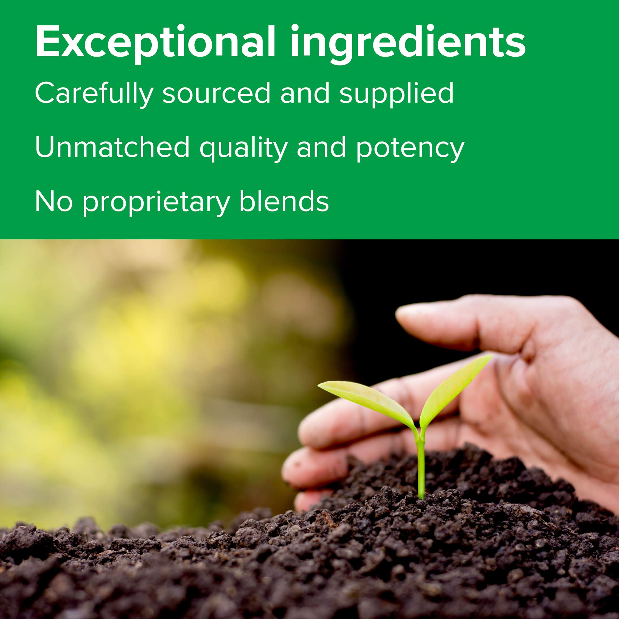Vibrant Health plant-based nutrition