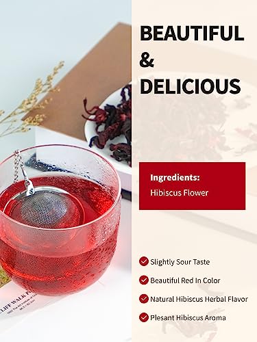vibrant hibiscus tea infusion