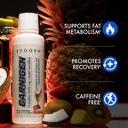 Victory Punch flavour L-Carnitine supplement