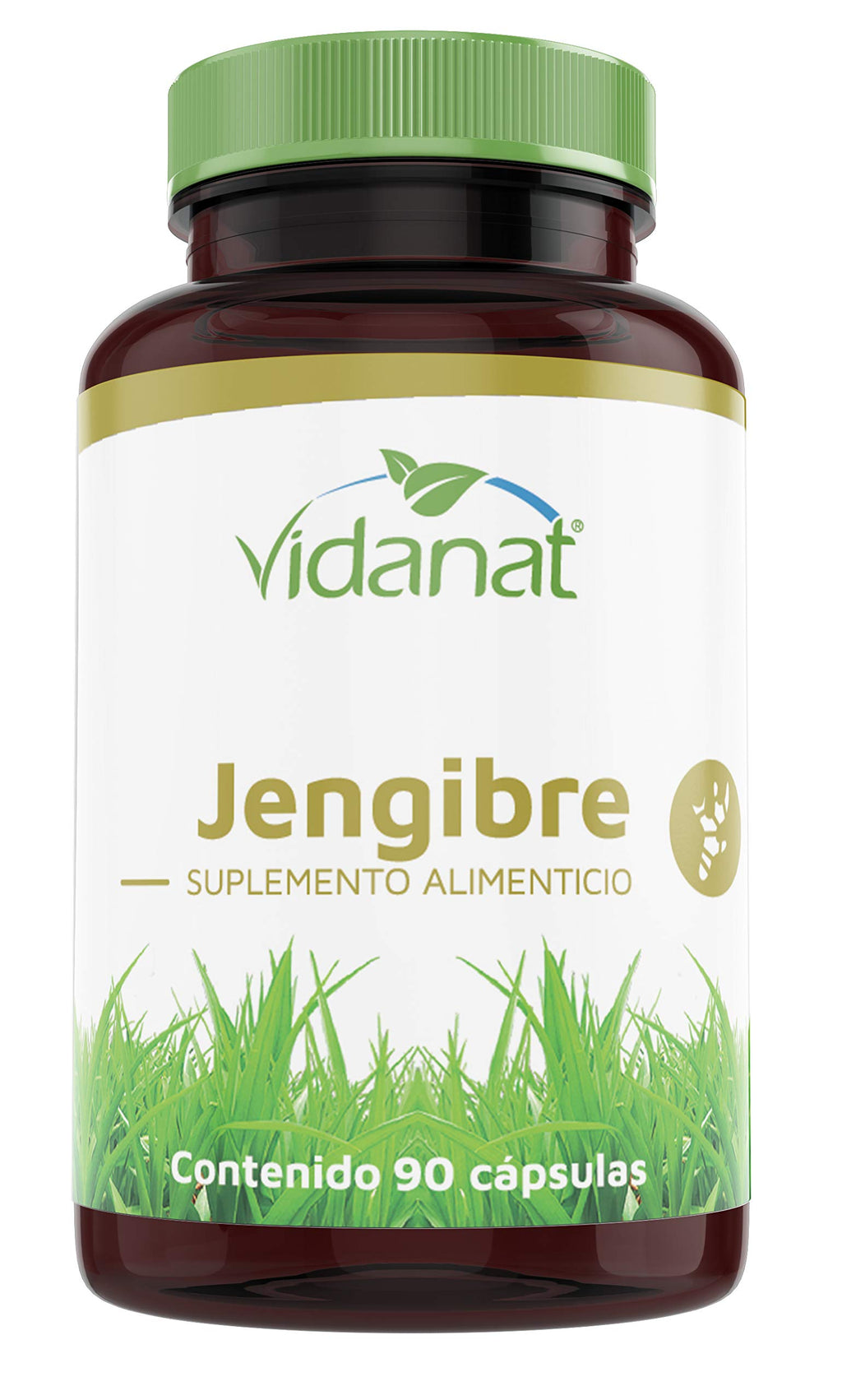 Vidanat ginger capsules for wellness