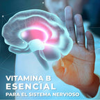 Vidanat vitamin B for overall wellness
