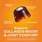 Vimergy turmeric ginger energy boost