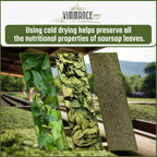 VIMMANCE herbal tea for wellness