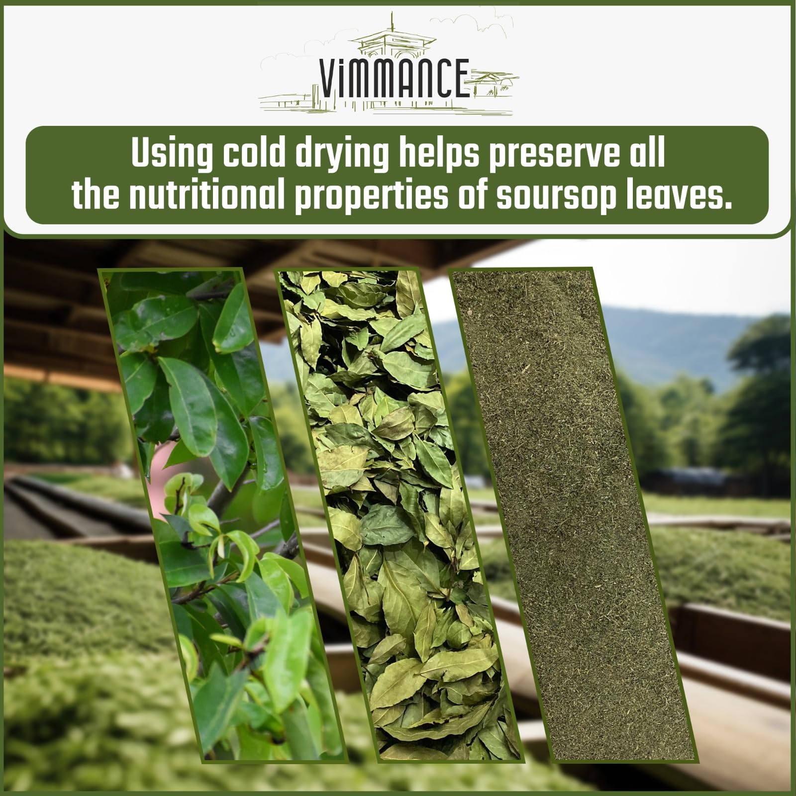 VIMMANCE herbal tea for wellness