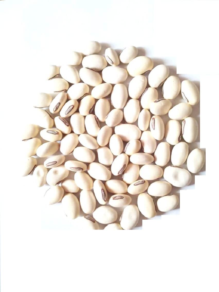 Vinarghya mucuna pruriens quality seeds