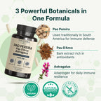 VINATURA 1300 mg astragalus capsules