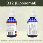 Vinco Inc Vitamin B12 for energy