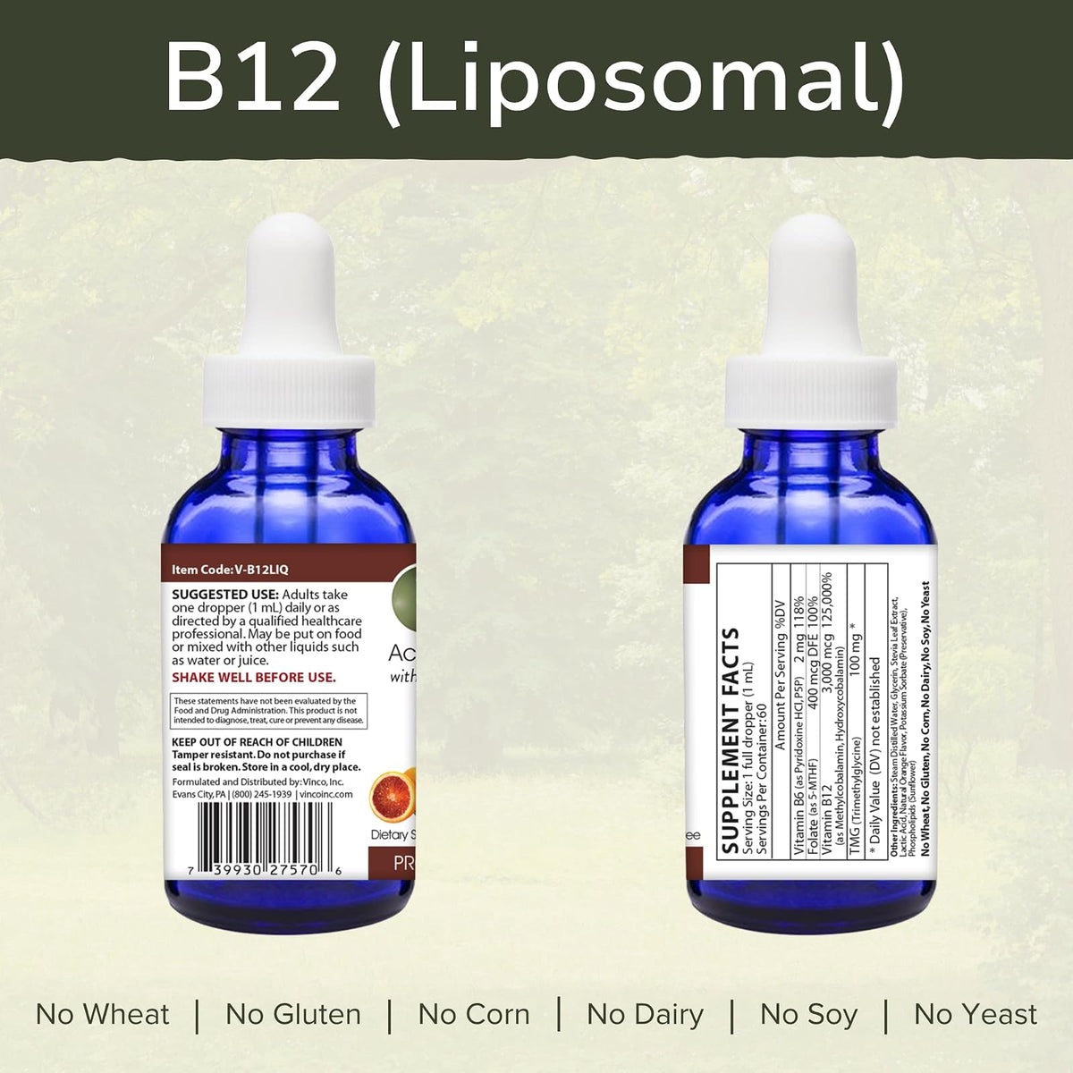 Vinco Inc Vitamin B12 for energy